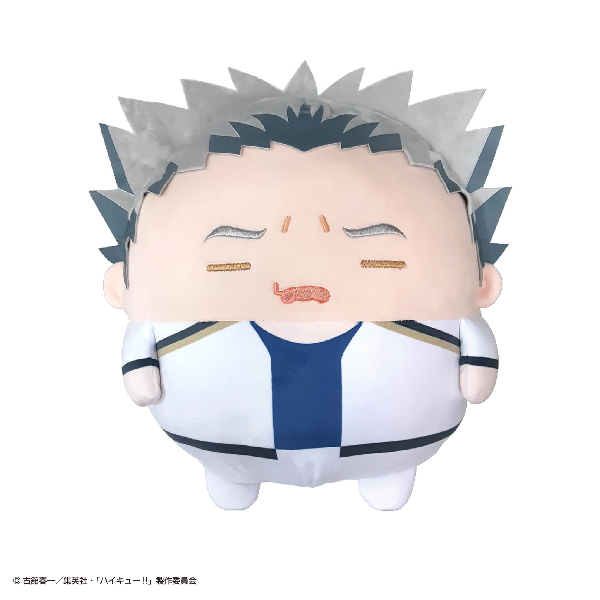 【Resale】HQ-53 "Haikyu!!" Fuwakororin Big Special F Bokuto Kotaro | animota