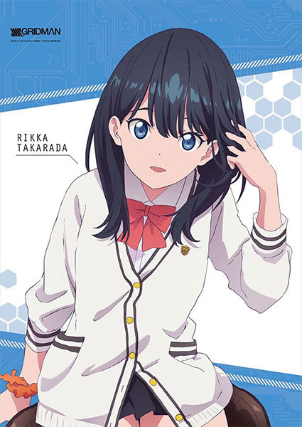 Gridman figures and goods | animota