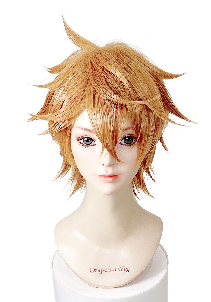 Genshin Impact-Cosplay Wig | animota